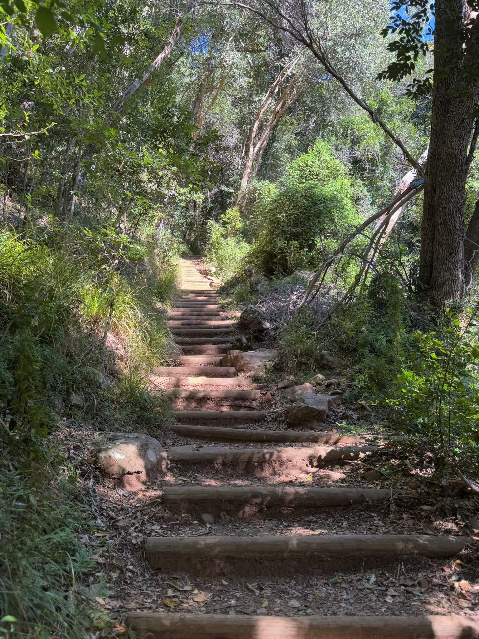 Hiking up Table Mountain - Winkfield Guest House