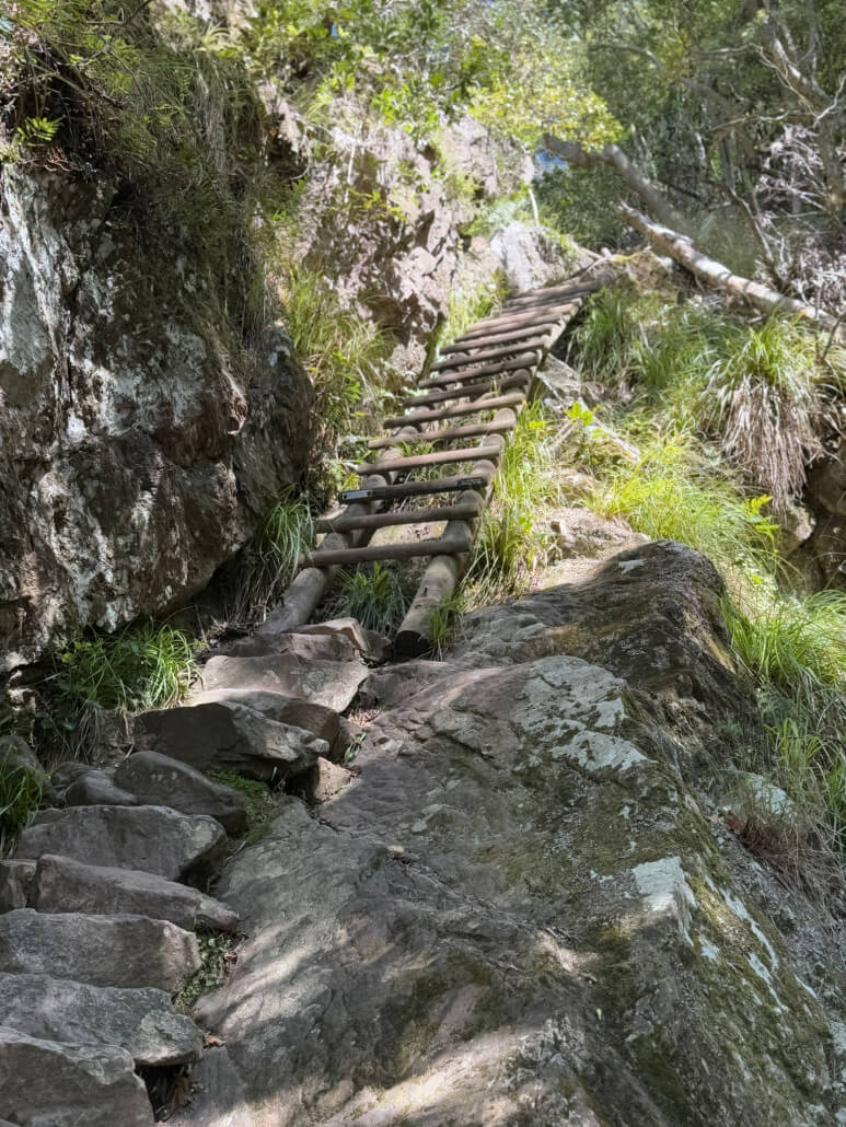 Wanderung auf den Tafelberg - Winkfield Guest House